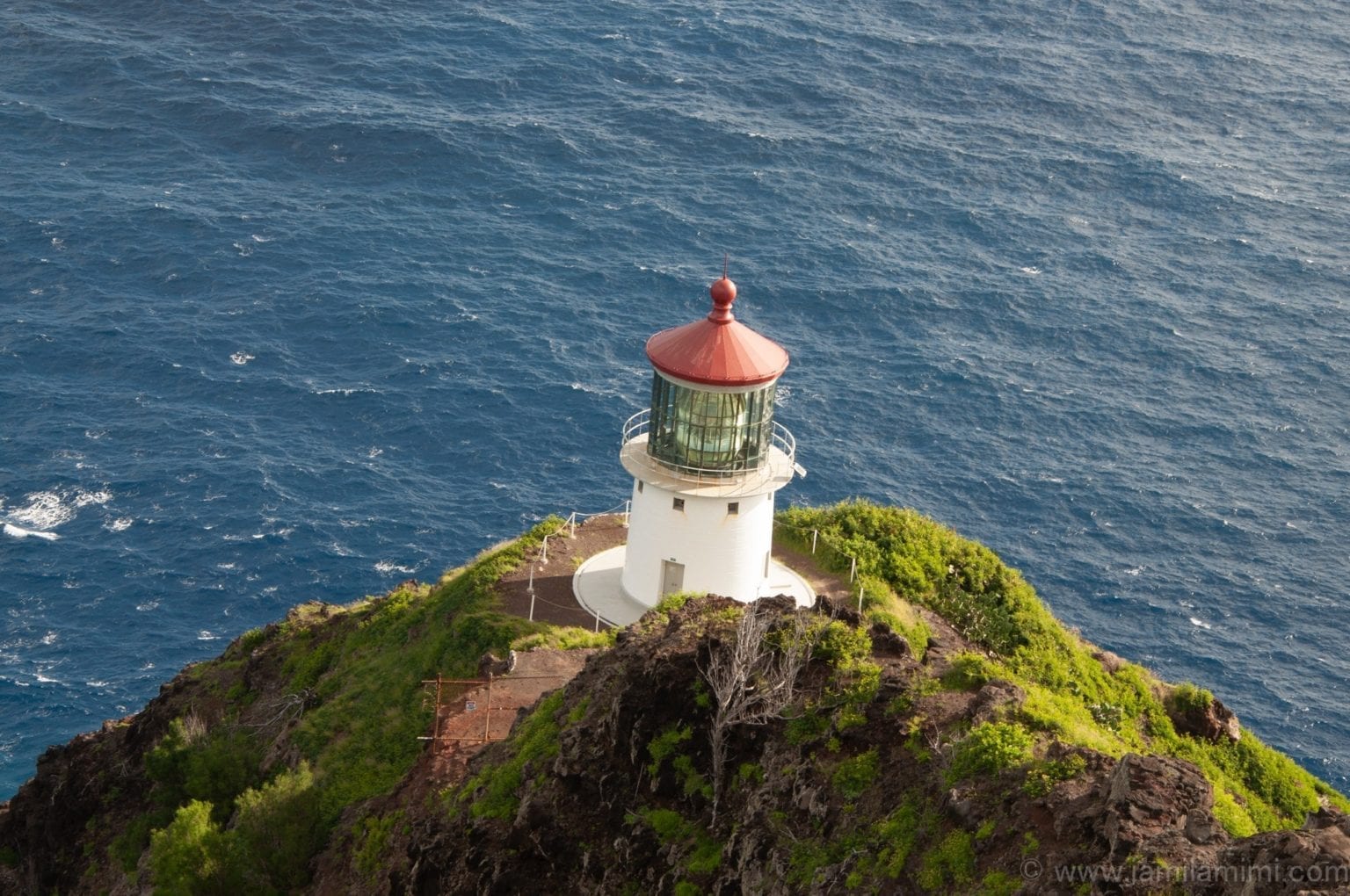 Makapu’u Point Hike & Halona Blowhole - From $35 - Waikiki Adventures