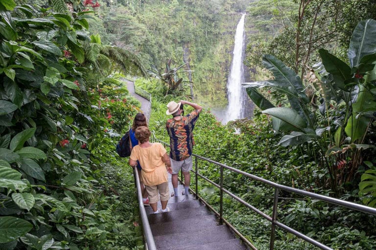 Hawaii Tours and Activities | Waikiki Adventures