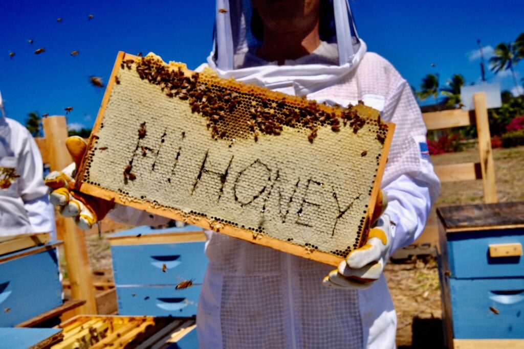 Oahu Bee Farm Tour & Honey Tasting - $110 - Waikiki Adventures