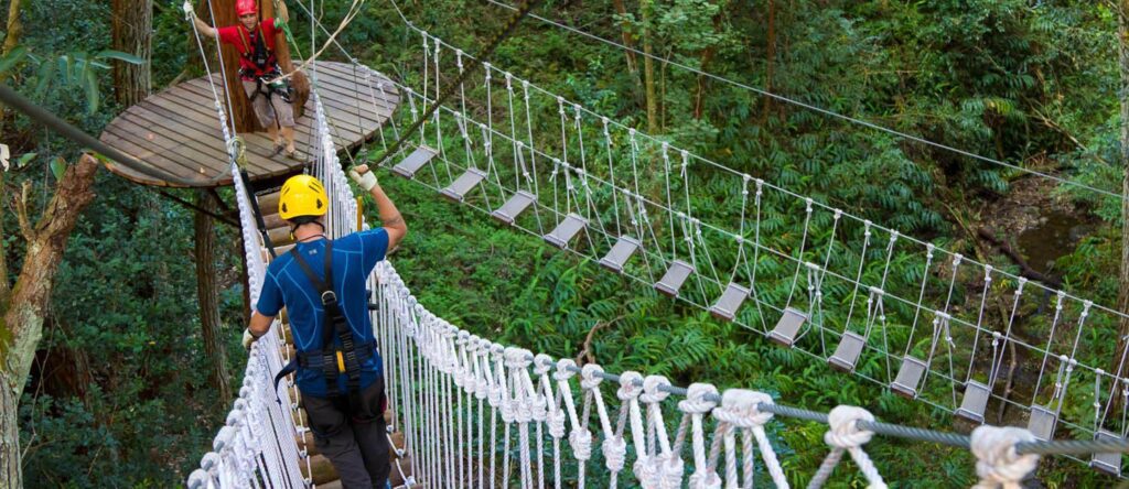 Kohala Canopy Adventure - $215 per person - Waikiki Adventures